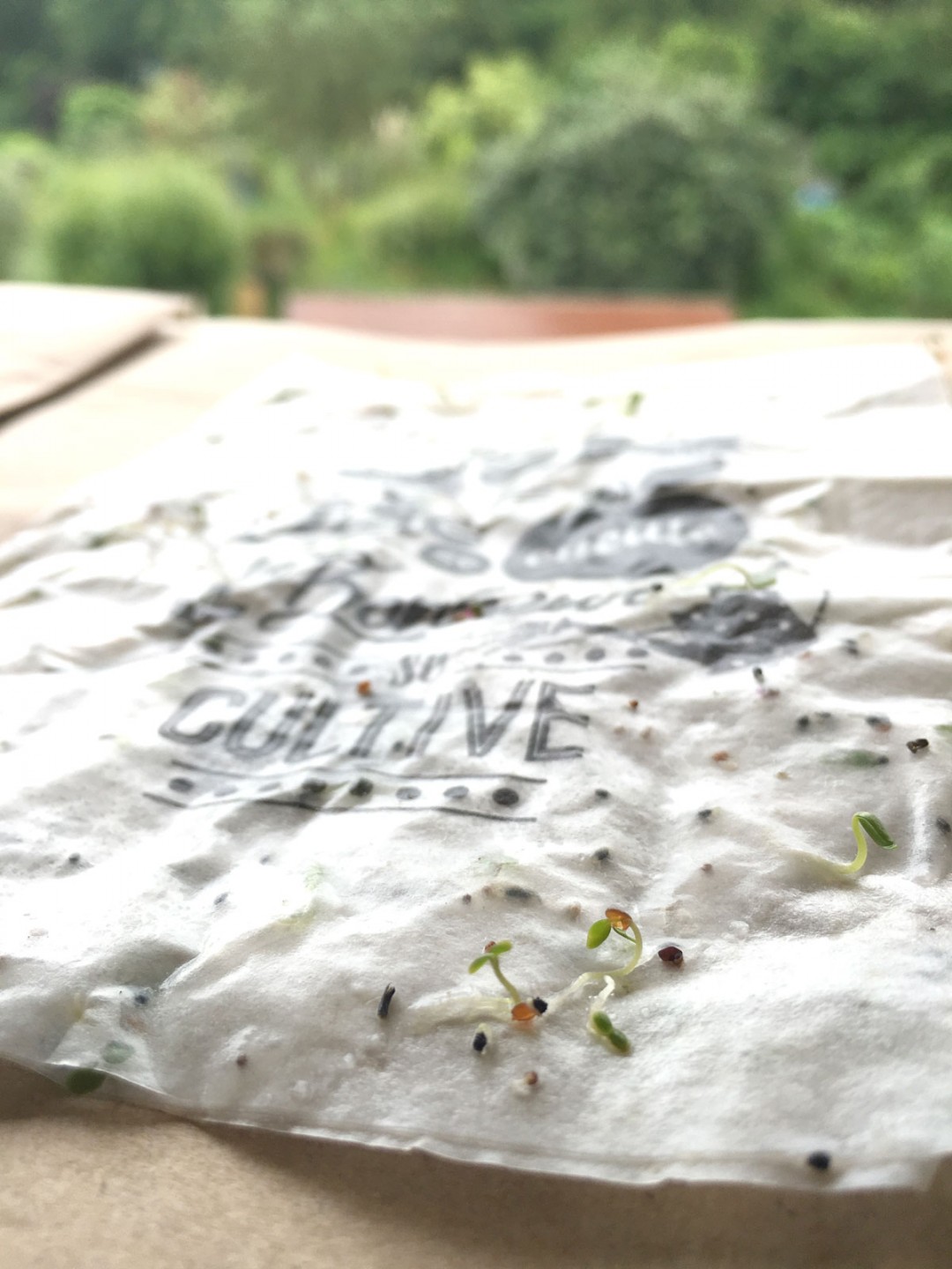 Growing paper, le papier qui fleurit vos vies ! + Concours ! – ShakerMaker